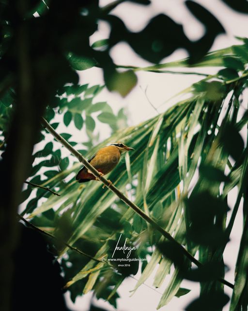 My Tour Guider, One Friendship At A Time - MyTourGuider™